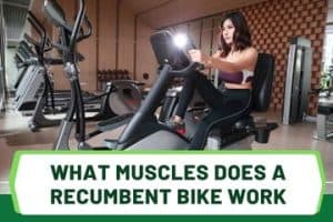 What Muscles Does a Recumbent Bike Work? Get Stronger and Leaner Than ...